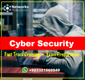 Home - Networks Professionals